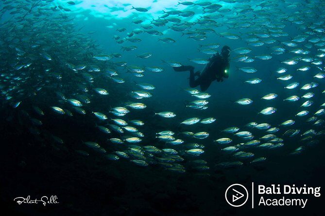 Day Trip Snorkeling in Tulamben - Explore Liberty Wreck (pick up in South Bali) - What’s Included and What’s Not