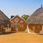 Day trip to Bishnoi village from Jodhpur - What the Tour Includes and What to Consider