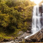 Day Trip to Chikmagalur (Guided Sightseeing Tour by Car from Mysore) - Why This Tour Offers Good Value