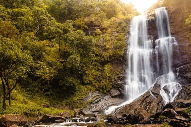 Day Trip to Chikmagalur (Guided Sightseeing Tour by Car from Mysore) - Why This Tour Offers Good Value