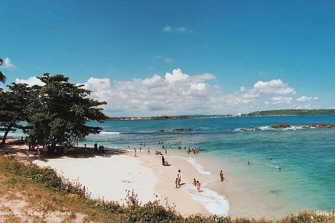 Day Trip to Galle Fort and Unawatuna Beach from Colombo - Detailed Breakdown of the Itinerary