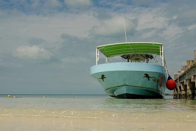 Day Trip to Isla Contoy - Analyzing the Itinerary