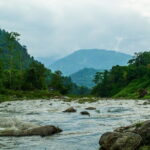 Day Trip to Kalimpong (Guided Private Sightseeing Experience from Gangtok) - Who Will Enjoy This Tour?