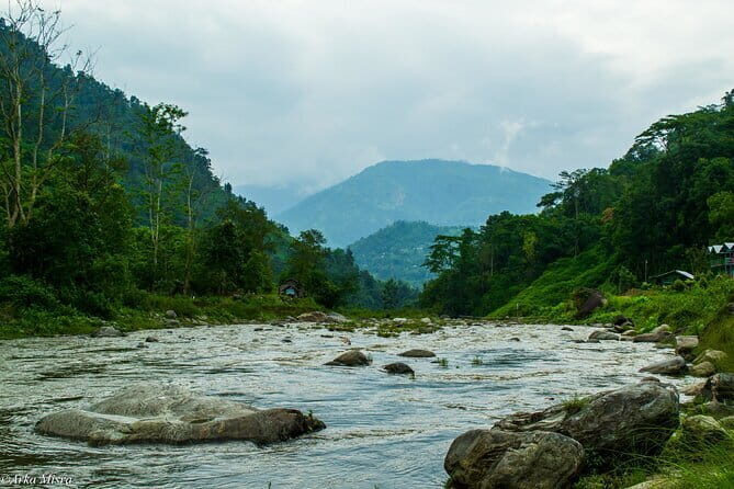 Day Trip to Kalimpong (Guided Private Sightseeing Experience from Gangtok) - Who Will Enjoy This Tour?