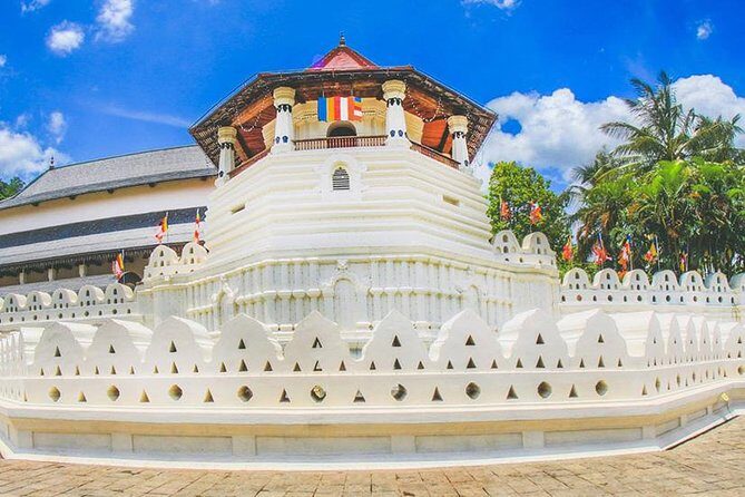 Day Trip to Kandy with Kingfisher Tours - The Value of This Tour