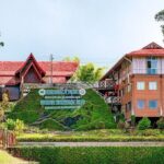 Day Trip to Kinabalu Park and Poring Hot Spring Guided Tour - Who Will Love This Tour?