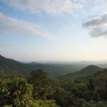 Day Trip to Mollem National Park Including Dudhsagar Falls and Jeep Safari from Goa - Spice Plantation: Learning About Goan Agriculture