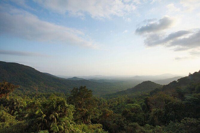Day Trip to Mollem National Park Including Dudhsagar Falls and Jeep Safari from Goa - Spice Plantation: Learning About Goan Agriculture