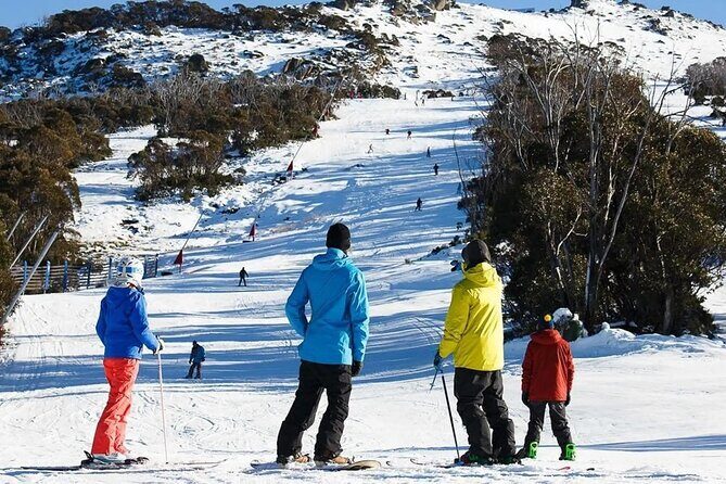 Day Trip To Snowy Mountains From Sydney - Who Will Love This Tour?