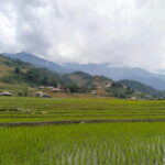 Day Trip Visit Y Linh Ho,Lao Chai Ta Van - Cat Cat Village - Exploring the Villages and Landscapes