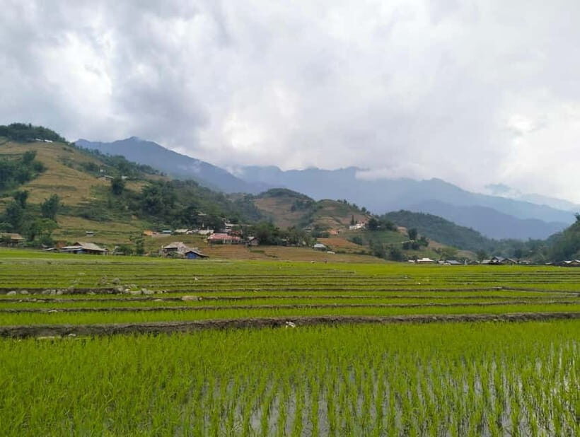 Day Trip Visit Y Linh Ho,Lao Chai Ta Van - Cat Cat Village - Exploring the Villages and Landscapes
