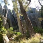 Daylesford Goldfields Track Walking and Wellness Experience - Day-by-Day Breakdown