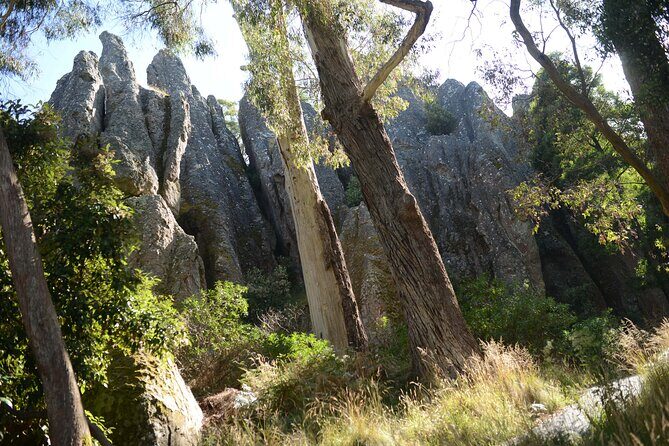 Daylesford Goldfields Track Walking and Wellness Experience - Day-by-Day Breakdown