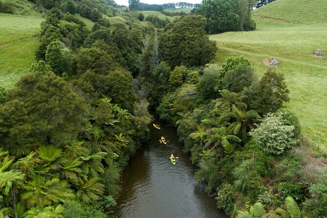 Daytime Canyon Kayak Tour - Practical Details and What You Can Expect