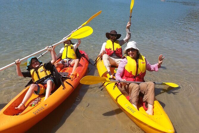 Daytime Kayak Eco Tour of New South Wales - Value and Practical Aspects
