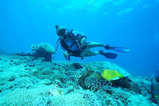 Daytrip to Padangbai Blue Lagoon fun diving or try diving - What’s Included and What to Budget For
