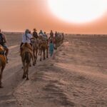Dazzling Half Day Camel & Desert Safari With Sunset & Dinner - Authenticity and Local Hospitality