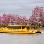 DC: Hop-on Hop-off, Arlington Walking Tour, and Night Tour - What’s Included and What’s Not