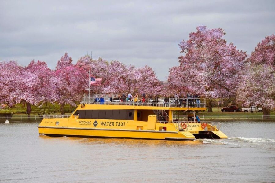 DC: Hop-on Hop-off, Arlington Walking Tour, and Night Tour - What’s Included and What’s Not