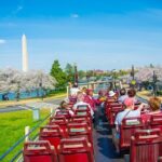 DC: Hop-on Hop-off Bus, Arlington Walking Tour, and Night Tour - The Sum Up