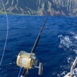 Deep Sea Sport Fishing - Who Will Enjoy This?
