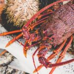 Deep-to-Dish: Tasmanian Seafood Experience - An Authentic Tasmanian Seafood Journey