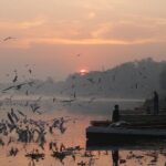 Delhi By Dawn:Secret morning Delhi Tour + Breakfast all inclusive - The Itinerary: A Step-by-Step Journey