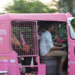 Delhi: By Tuk Tuk - Practical Details and What You Should Know