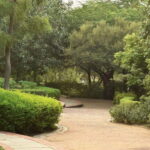 Delhi: Garden of Five Senses Guided Tour with Pickup - Why This Tour Stands Out