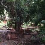 Delhi Haunted and Creepy Ruins Discovery - Transportation and Group Size