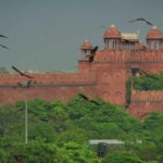 Delhi: Old Delhi Cultural Tour with Gandhi Memorial - Practical Details