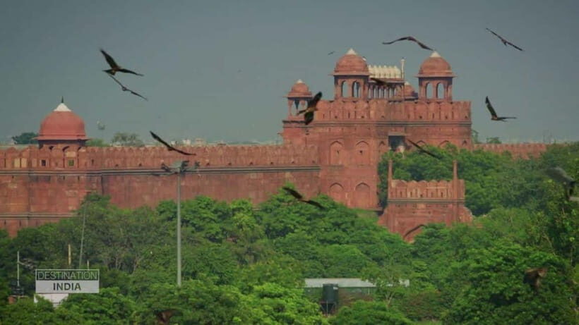Delhi: Old Delhi Cultural Tour with Gandhi Memorial - Practical Details
