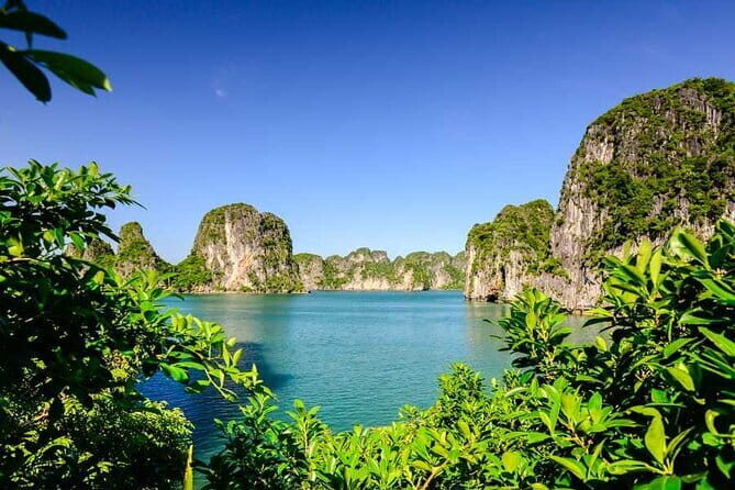 Deluxe Bai Tu Long Bay Cruise with 6 Hours Cruising - The Value of This Experience