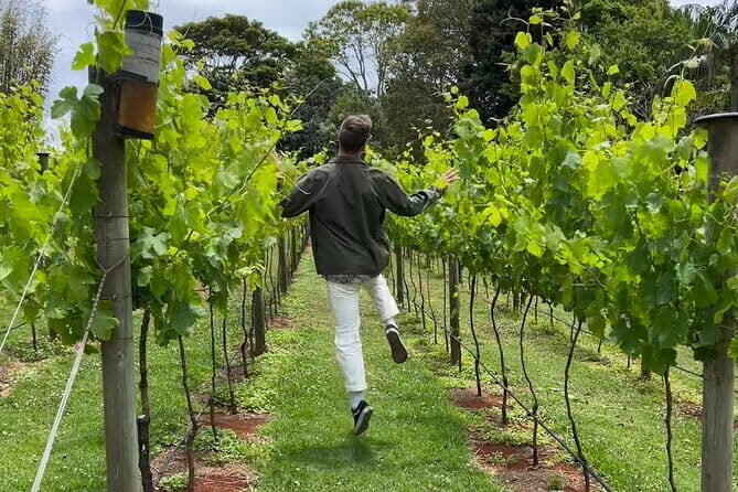Deluxe Winery Tour to Tamborine Mountain (Mon-Tues) - The Value of Guided Tastings and Scenic Stops
