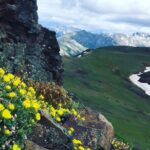 Denali 4 Hour Hiking Adventure with Naturalist Guide - An In-Depth Look at the Experience