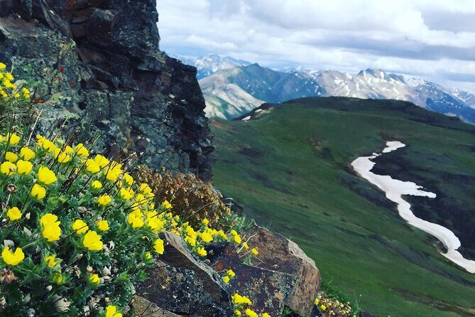 Denali 4 Hour Hiking Adventure with Naturalist Guide - An In-Depth Look at the Experience