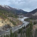 Denali National Park Shuttle - Why This Shuttle Stands Out