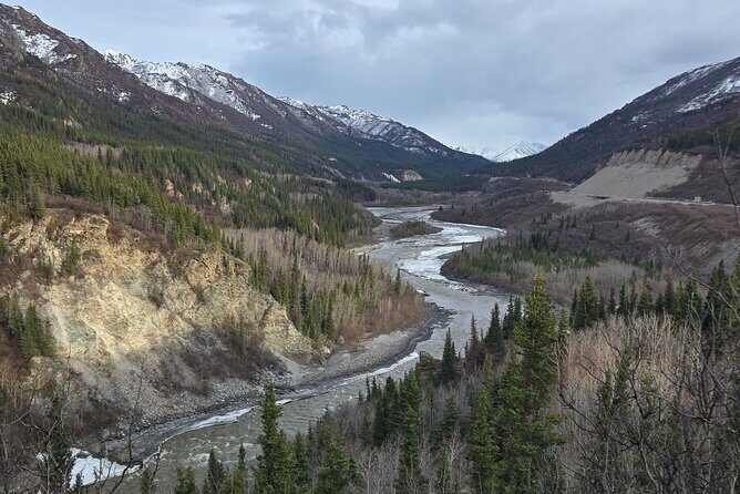 Denali National Park Shuttle - Why This Shuttle Stands Out