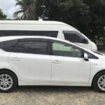 Denarau Hotels to Nadi Airport (Private Departure Transfer) - The Experience: A Closer Look at the Transfer Journey