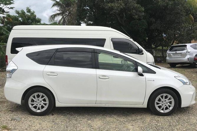 Denarau Hotels to Nadi Airport (Private Departure Transfer) - The Experience: A Closer Look at the Transfer Journey