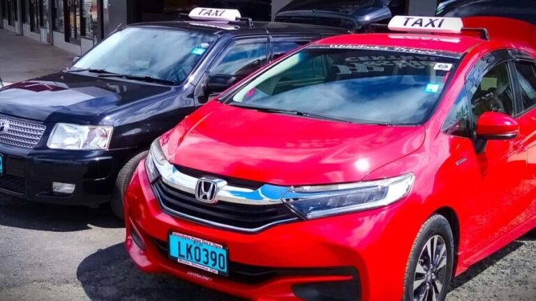 Denarau Island to Natadola Beach Round Trip - What to Expect on This Beach Day Adventure