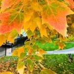 Denver City Highlights Tour - Why This Tour Is a Smart Choice