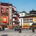 Departure Private Transfer: Shanghai to Pudong Airport PVG in Business Car - What to Expect During Your Ride