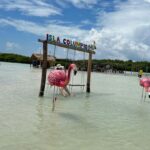 Desde Merida: Isla columpios - Detailed Breakdown of the Experience