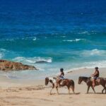 Desert and Beach Horseback Riding Experience in Cabo - Who Will Enjoy This Experience?