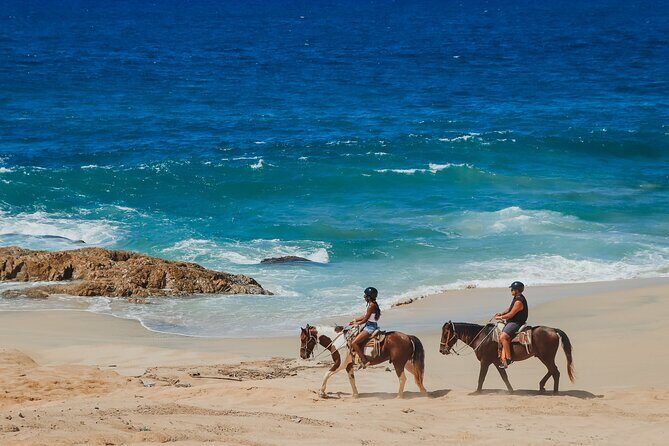 Desert and Beach Horseback Riding Experience in Cabo - Who Will Enjoy This Experience?