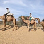 Desert Camel Safari Day Tour In Jodhpur - What’s Included and What to Keep in Mind