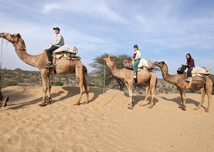 Desert Camel Safari Day Tour In Jodhpur - What’s Included and What to Keep in Mind