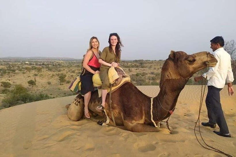 Desert Camel Safari Day Trip From Jodhpur - Detailed Breakdown of the Experience