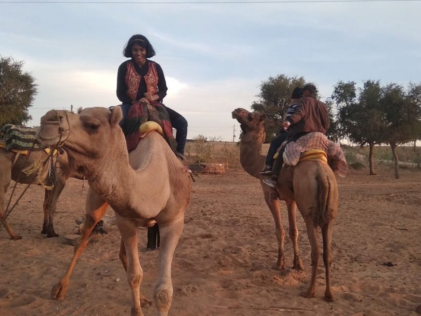 Desert Jeep Safari & Camel Safari Tour From Jodhpur - What Makes This Tour Stand Out?